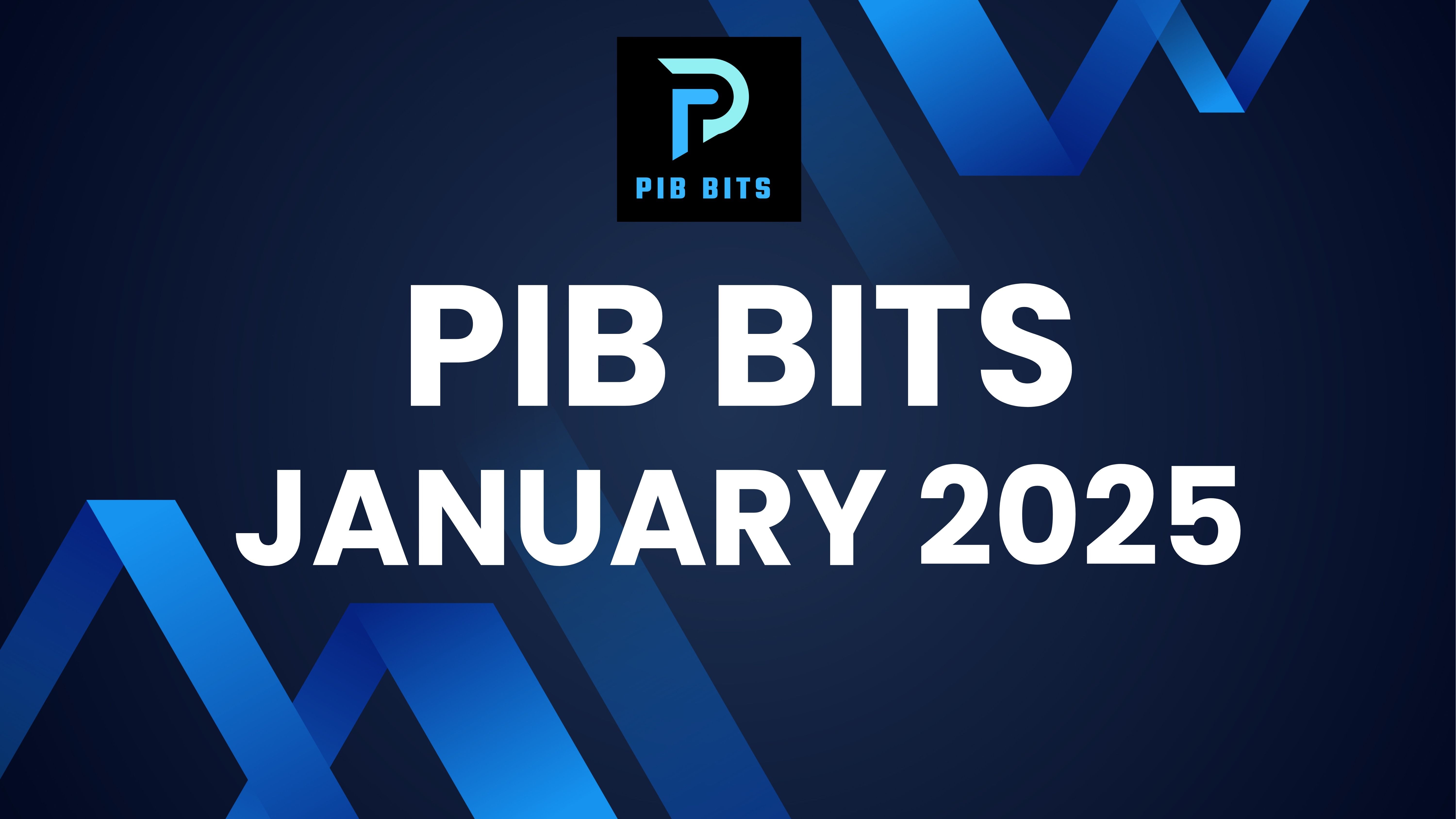 PIB Bits