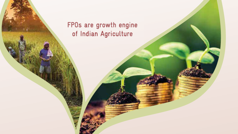 Training-Materials-for-FPOs