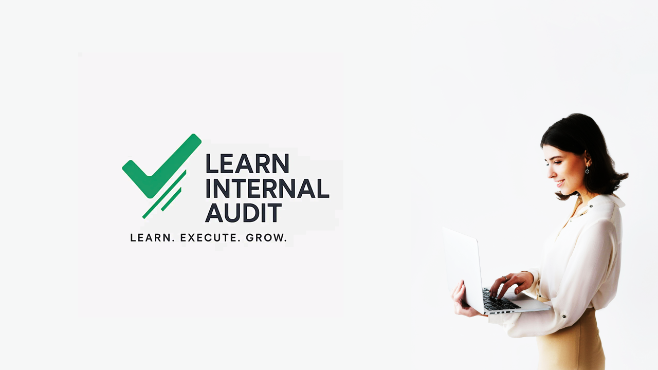 learninternalaudit.com